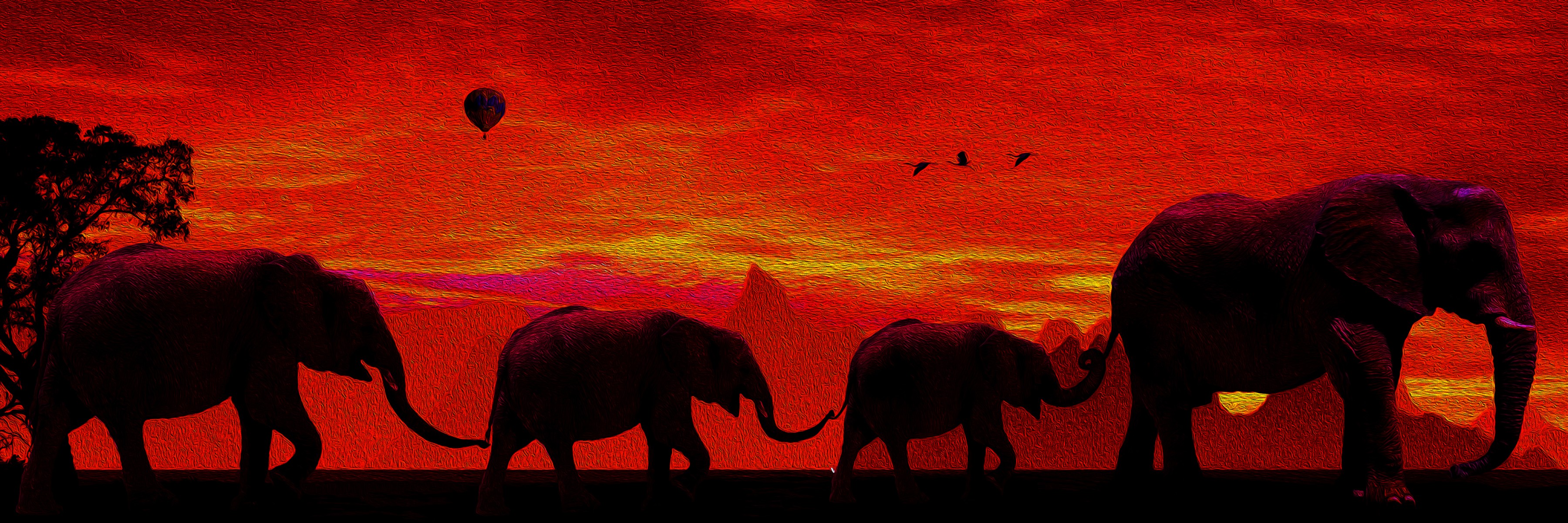 pambisso akunamatata theartcycle photo_principale 1305212390.jpeg The ...